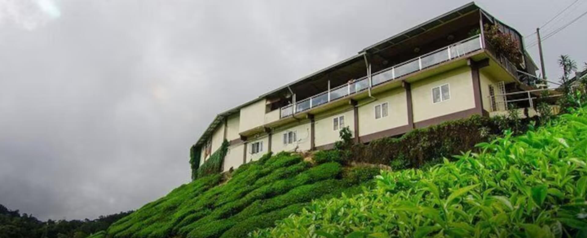 Tea Factory Tour at Elpitiya - Elpitiya Pradeshiya Sabha